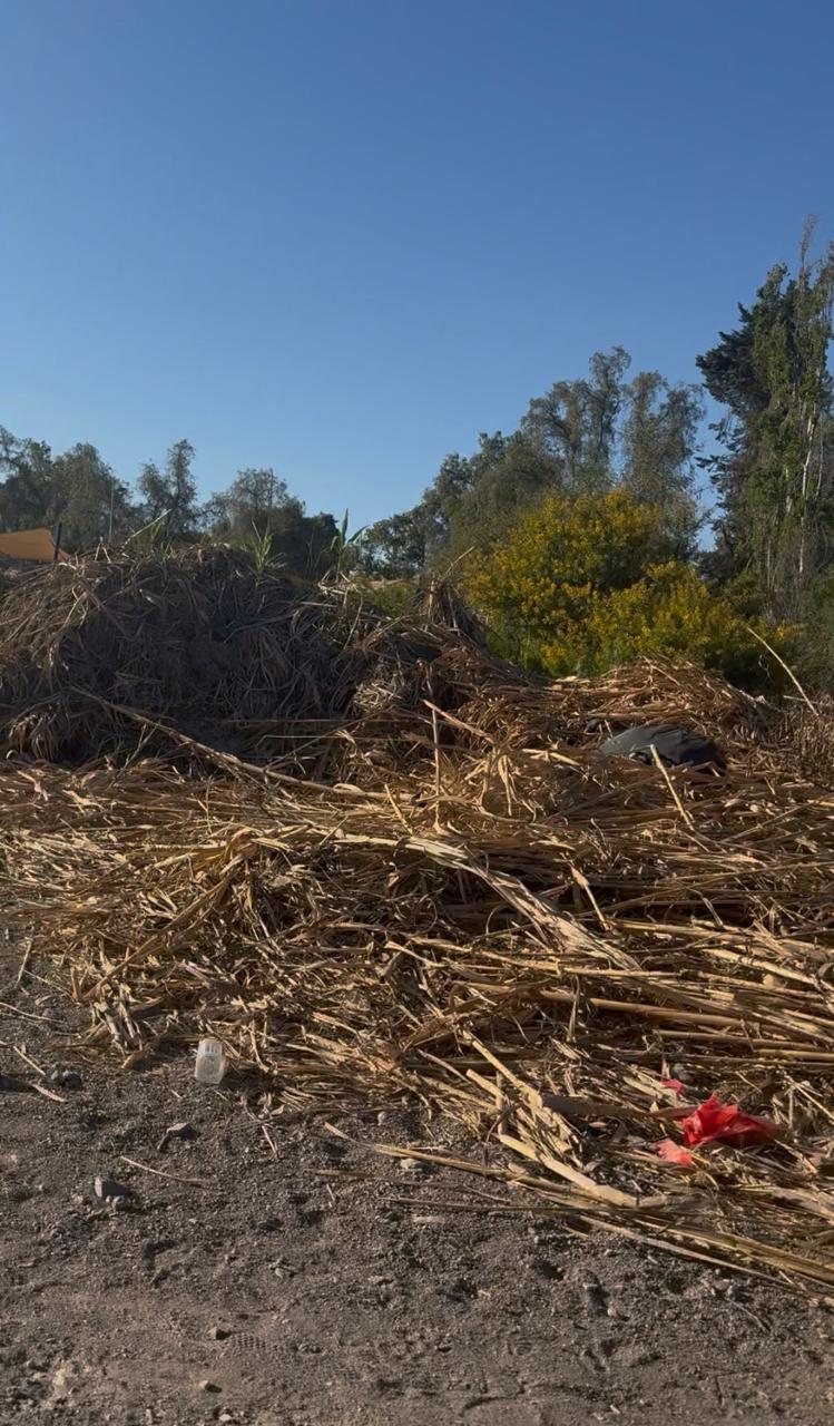 EDITORIAL / Provincia del Huasco 2026 — desafíos y oportunidades – El ...